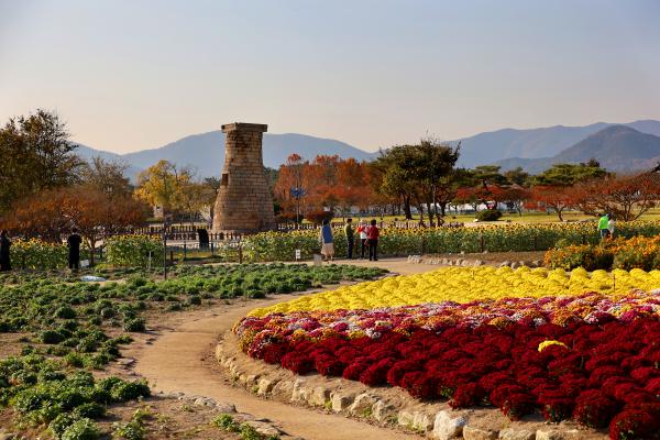Доска объявлений общедоступных маршрутов : VISITKOREA